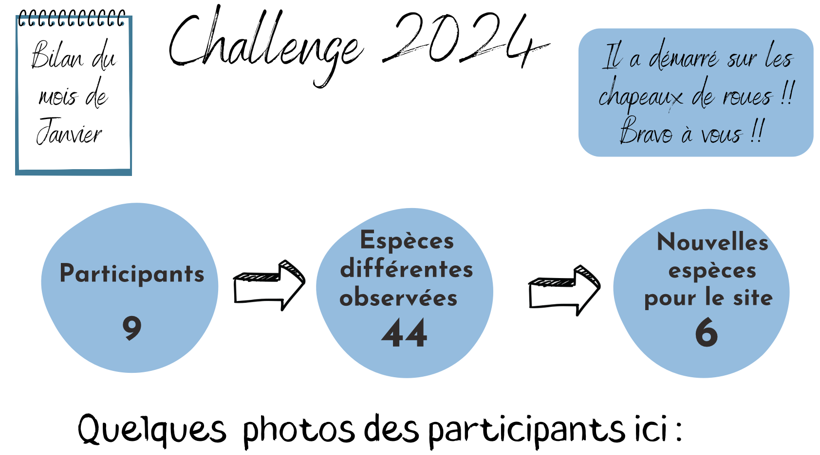 Bilan du mois de Janvier - Challenge 2024